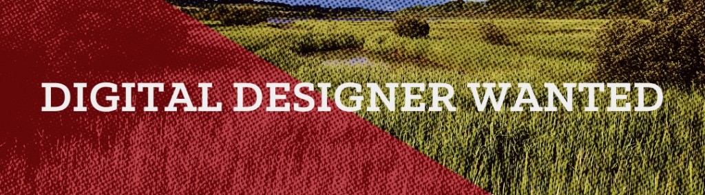 Designer wanted - media co-op